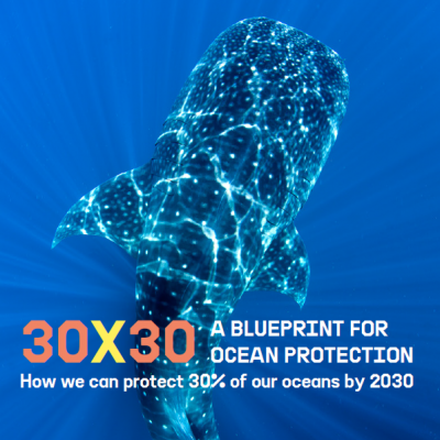 Ocean Resources - London Ocean Group - London Ocean Group