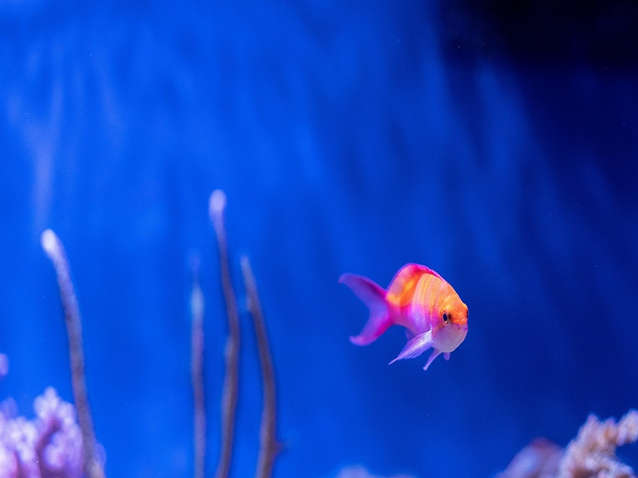 Contact Us - London Ocean Group - London Ocean Group