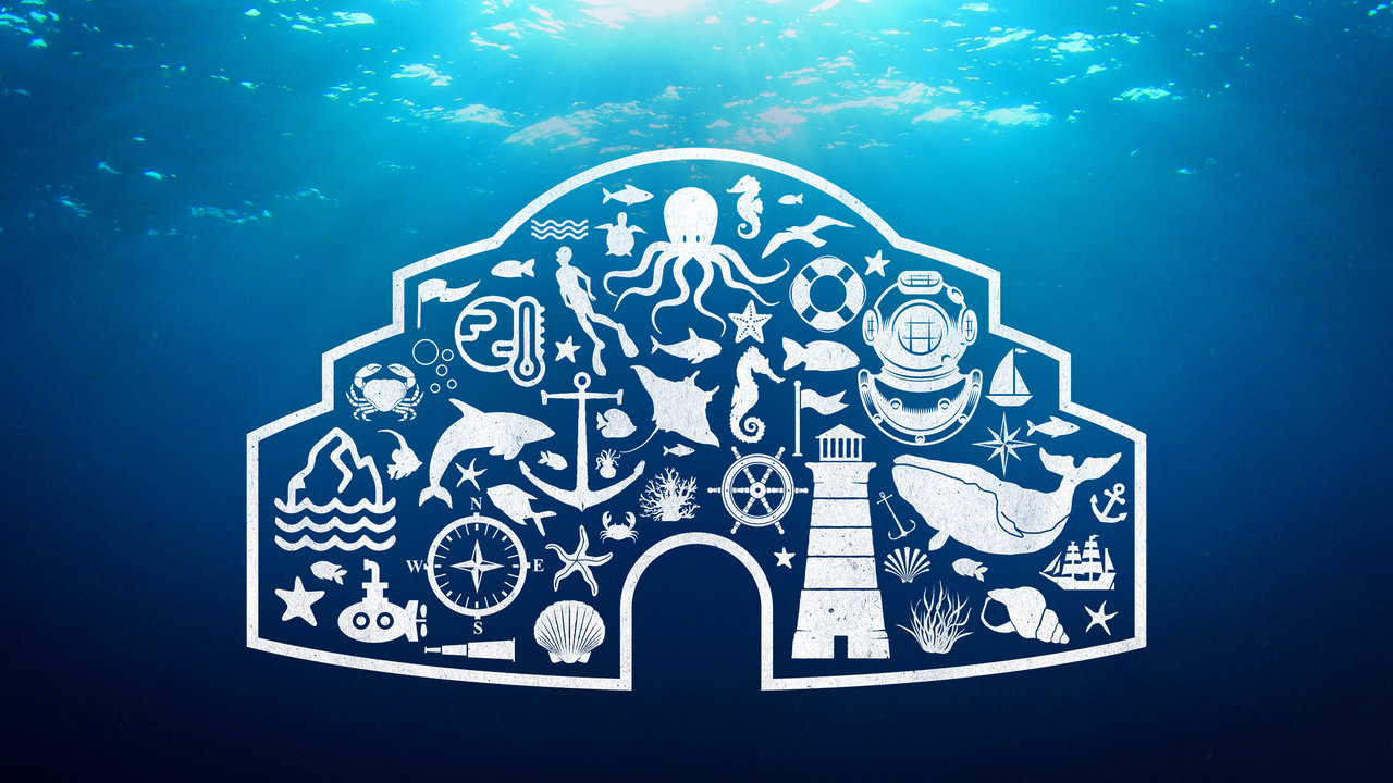 Sea Shambles - London Ocean Group - London Ocean Group