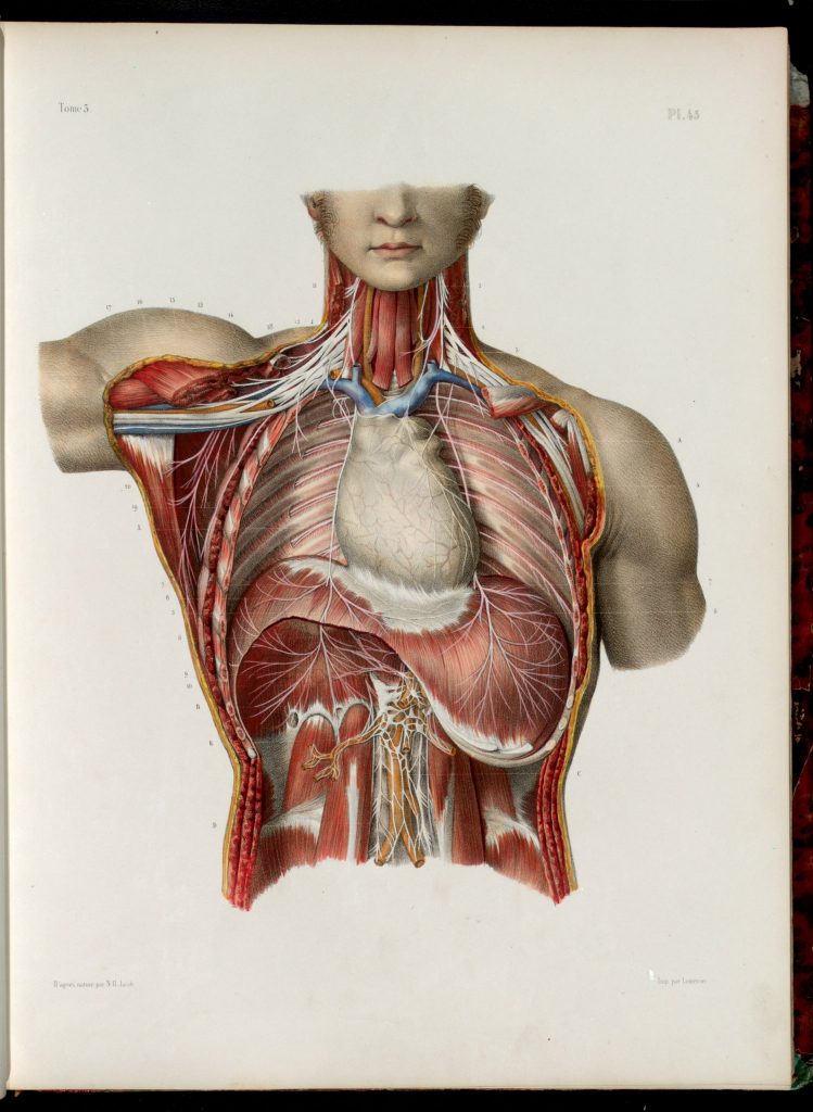 image0 - UCL Centre for Nerve Engineering - UCL Centre for Nerve ...