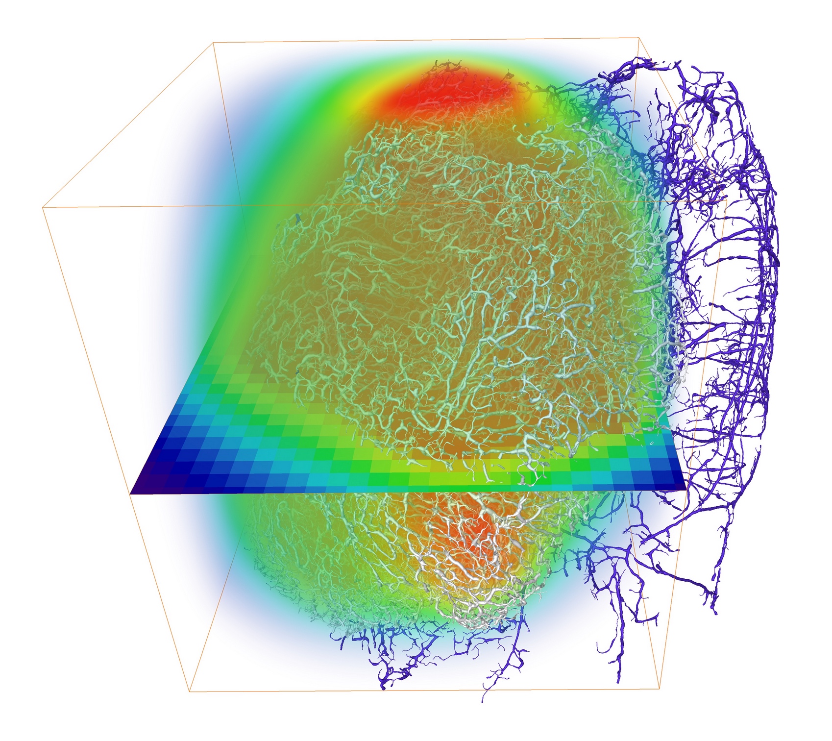 Virtual Tumours to Inform Cancer Drug Delivery - Dr Rebecca Shipley's ...